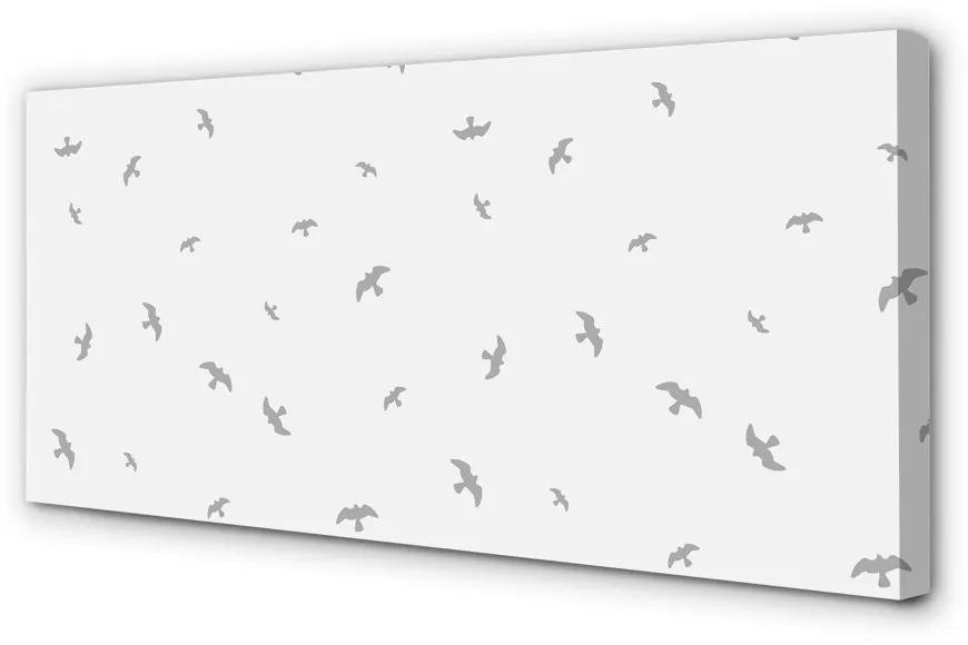 Obrazy na plátně šedé ptáků 140x70 cm