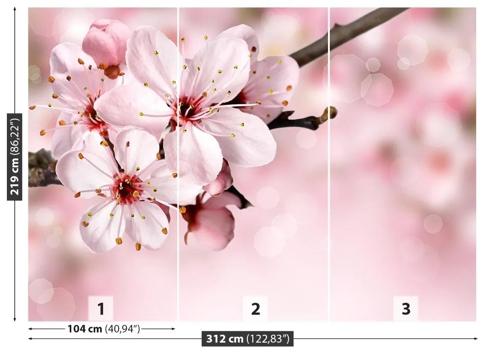 Fototapeta Růžový květ 104x70