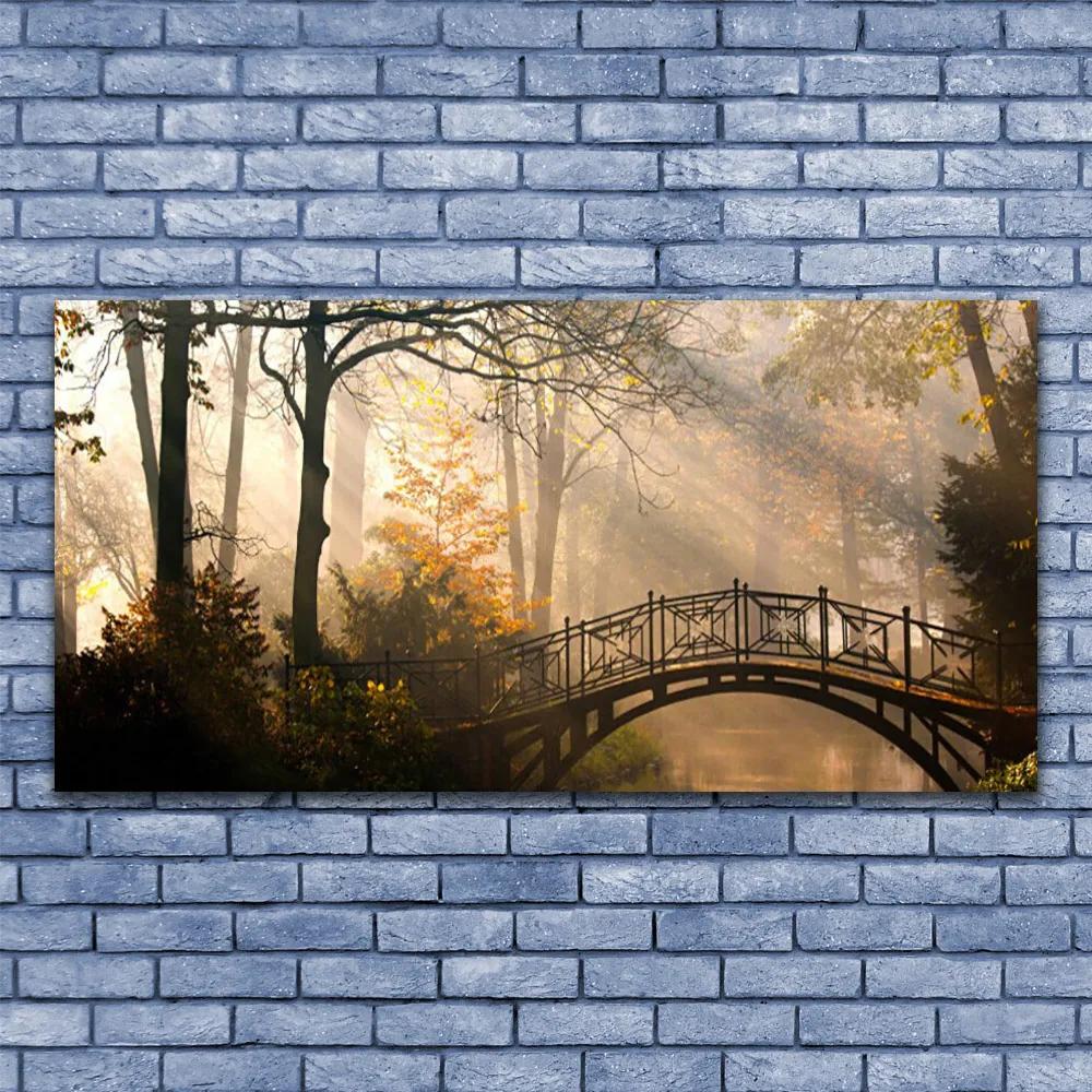 akrylový obraz Les Most Architektura 120x60 cm