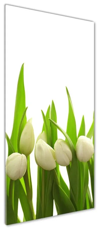 Wallmuralia Foto obraz akrylový na stěnu Bílé tulipány 50x125 cm