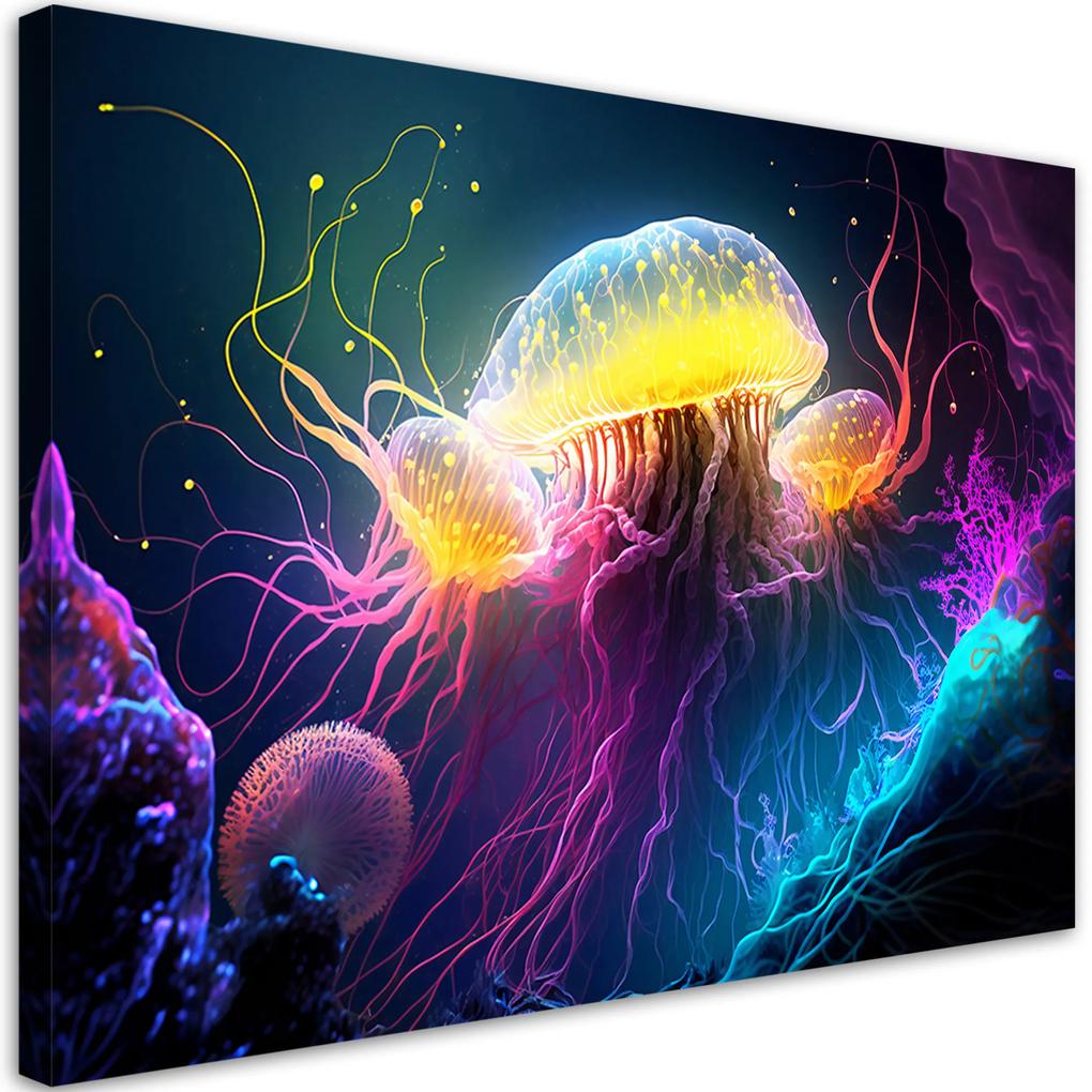 Gario Obraz na plátně Podmořské medúzy Rozměry: 60 x 40 cm