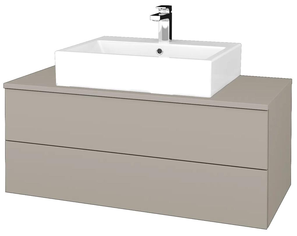 Dřevojas Koupelnová skříňka MODULE SZZ2 100 Varianta: N01 Bílá lesk / N07 Stone