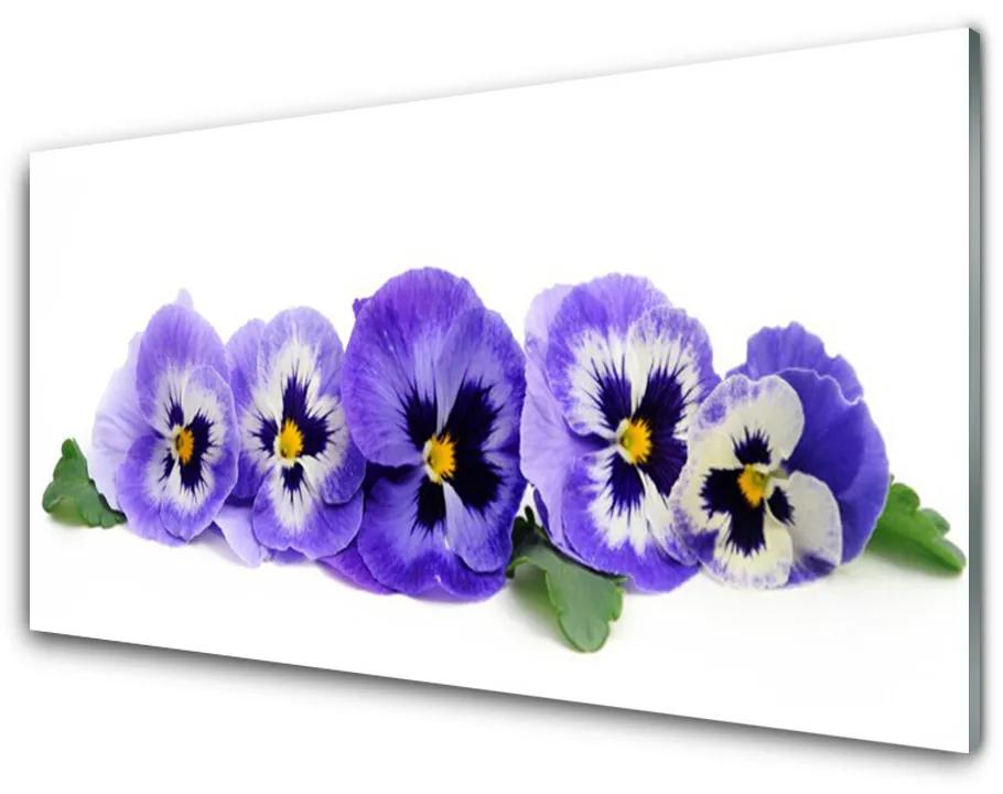 Plexisklo-obraz Plátky Květ Macešky 140x70 cm