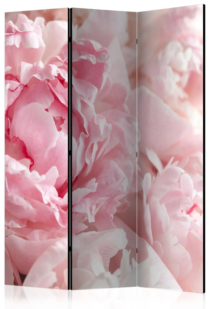 Paraván - Sweet Peonies [Room Dividers] 135x172