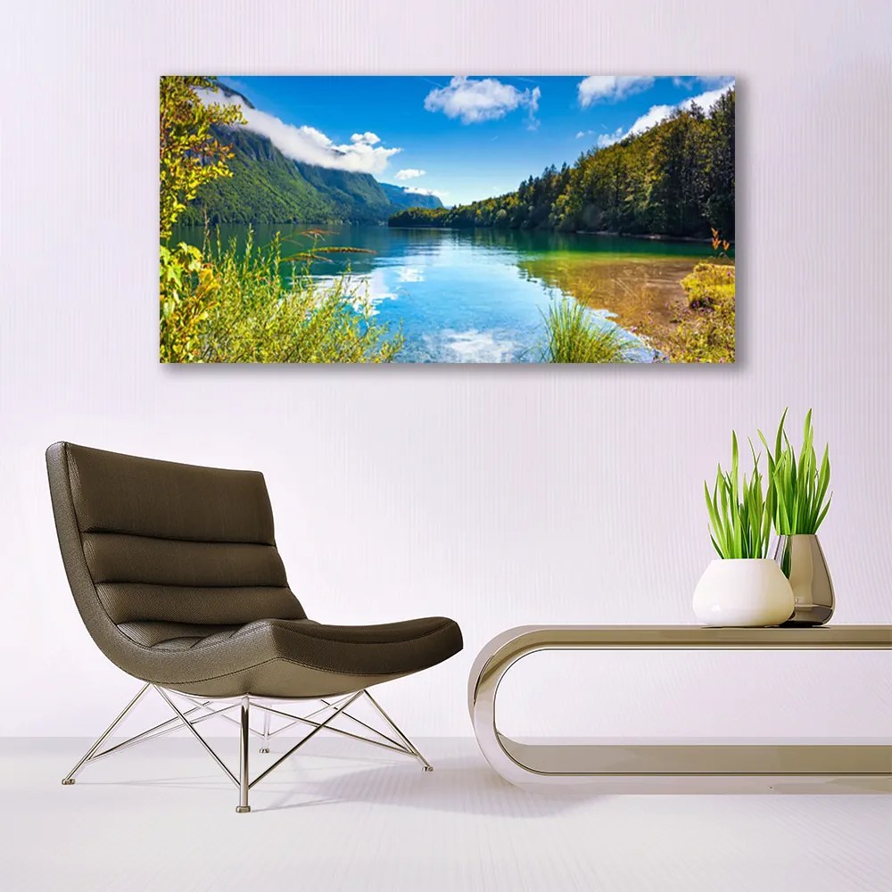 Plexisklo-obraz Hory Les Příroda Jezero 120x60 cm