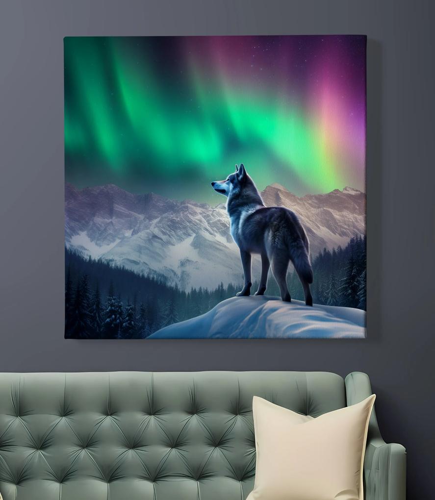 Obraz na plátně - Vlk pozoruje polární záři FeelHappy.cz Velikost obrazu: 100 x 100 cm