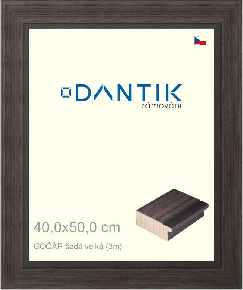 DANTIK rámeček 40x50 | Gočár šedá velká (Plexi Čiré)