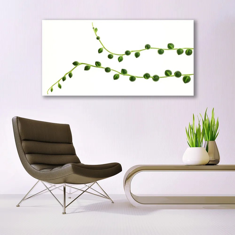 akrylový obraz Dekorativní Rostlina 120x60 cm