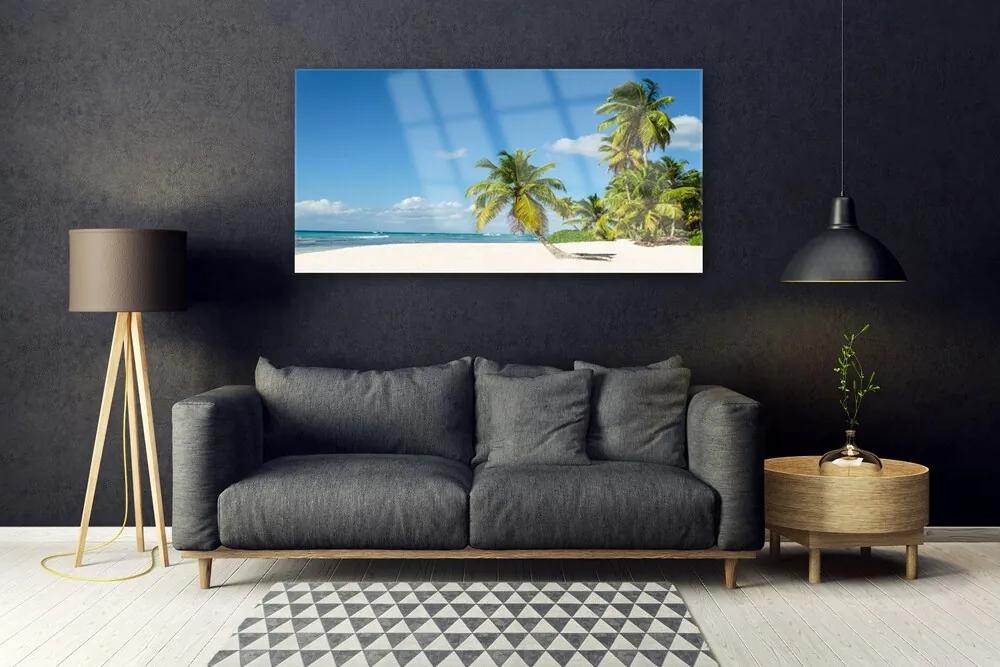 Plexisklo-obraz Pláž Palma Moře Krajina 120x60 cm