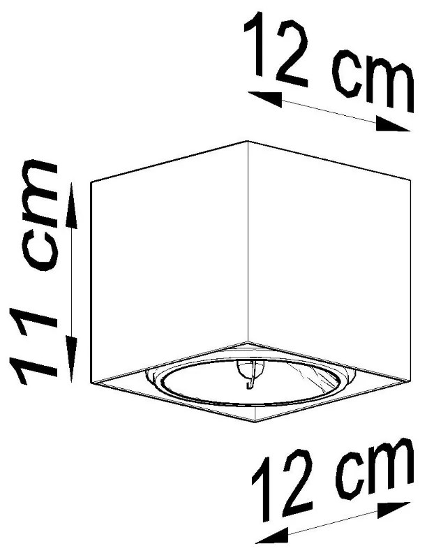 Stropní svítidlo Blake, 1x bílé kovové stínítko
