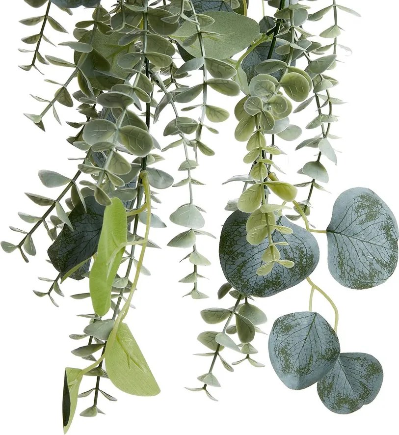 FLORISTA Eukalyptus převislý mix 65 cm