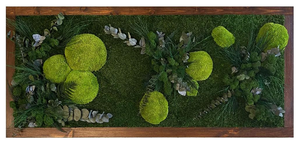 WOODILO Obraz ze stabilizovaného mechu a rostlin 208 Rozměr obrazu: 110x45 cm, Barva rámu: Opalovaný, Síla rámu (pohledová): 2,5 cm