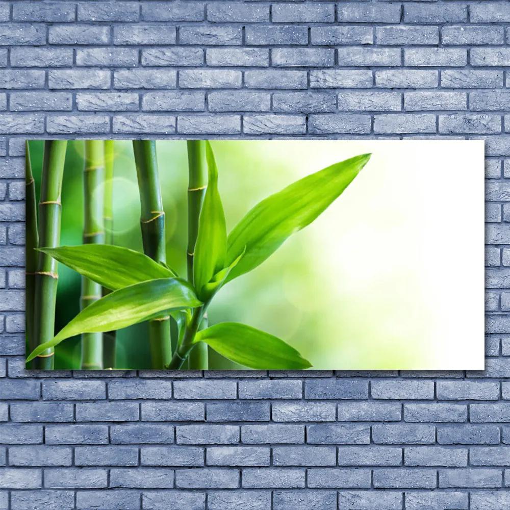 akrylový obraz Bambus List Rostlina Příroda 120x60 cm