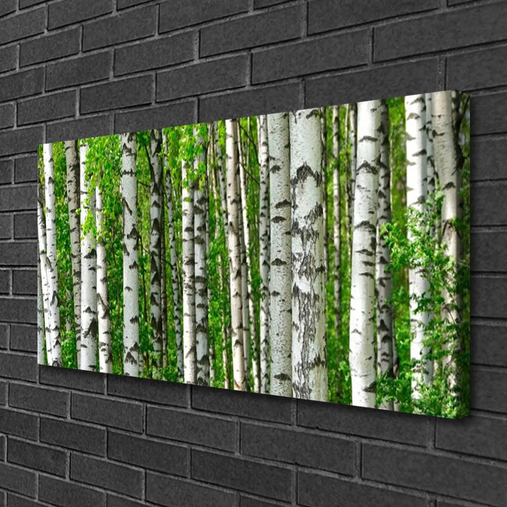 Obraz na plátně Les Rostlina Příroda 120x60 cm