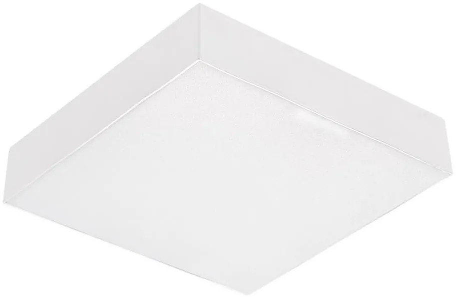 Emithor 63217 - LED Stropní svítidlo SURFACE 1xLED/20W/230V