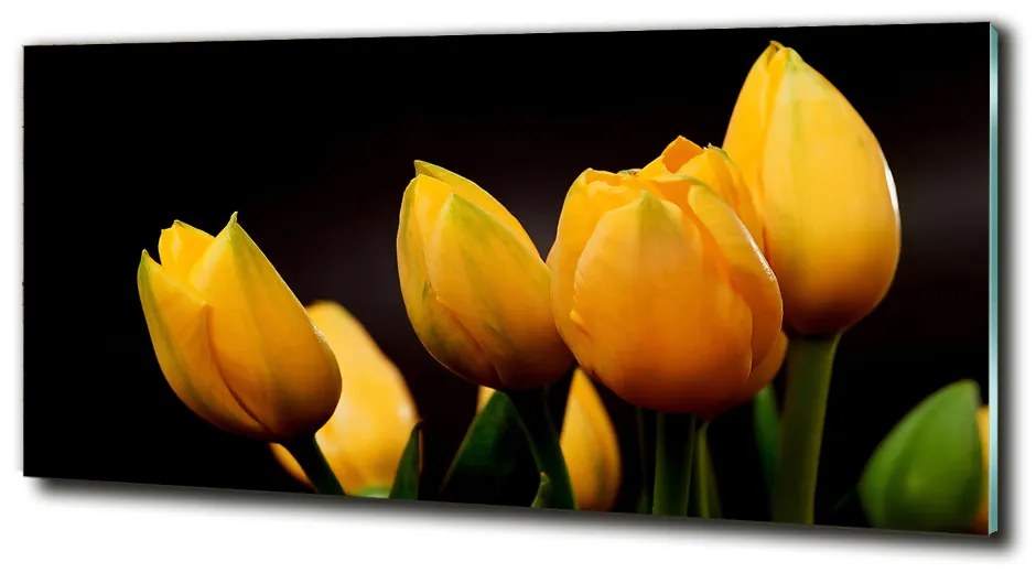 Wallmuralia Foto obraz sklo tvrzené Žluté tulipány 125x50 cm