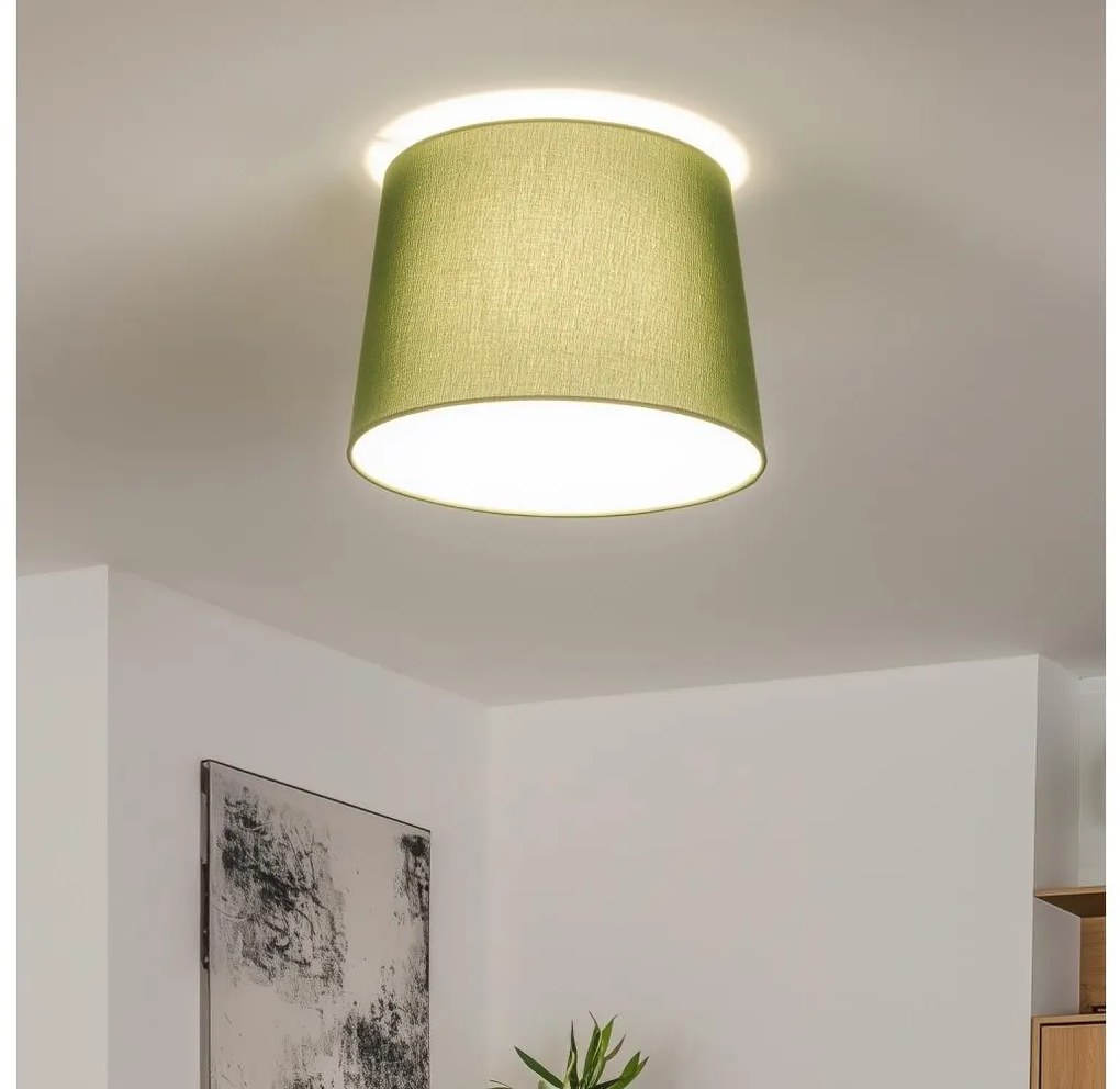 Brilagi - LED Přisazený lustr CERIA 1xE27/40W/230V pr. 30 cm zelená