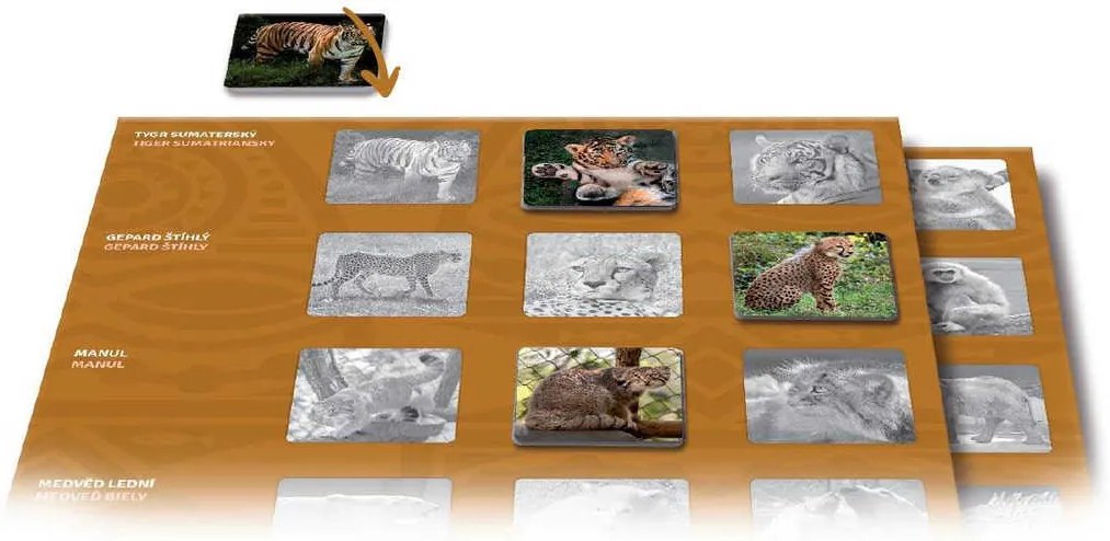 EFKO HRA Lototrio Zvířata v ZOO 2 dětské vzdělávací hry ef8861