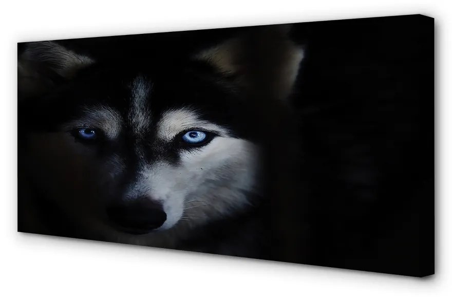 Obrazy na plátně wolf Eyes 100x50cm