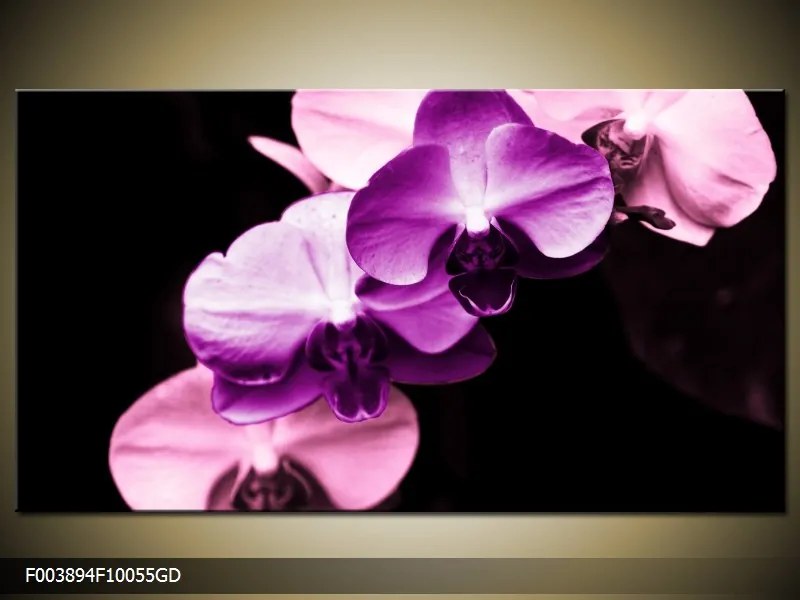 Obraz fialových orchidejí  (), 40 dalších rozměrů