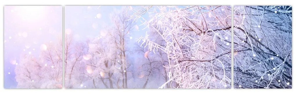 Obraz - Mrazivá zima (170x50 cm)