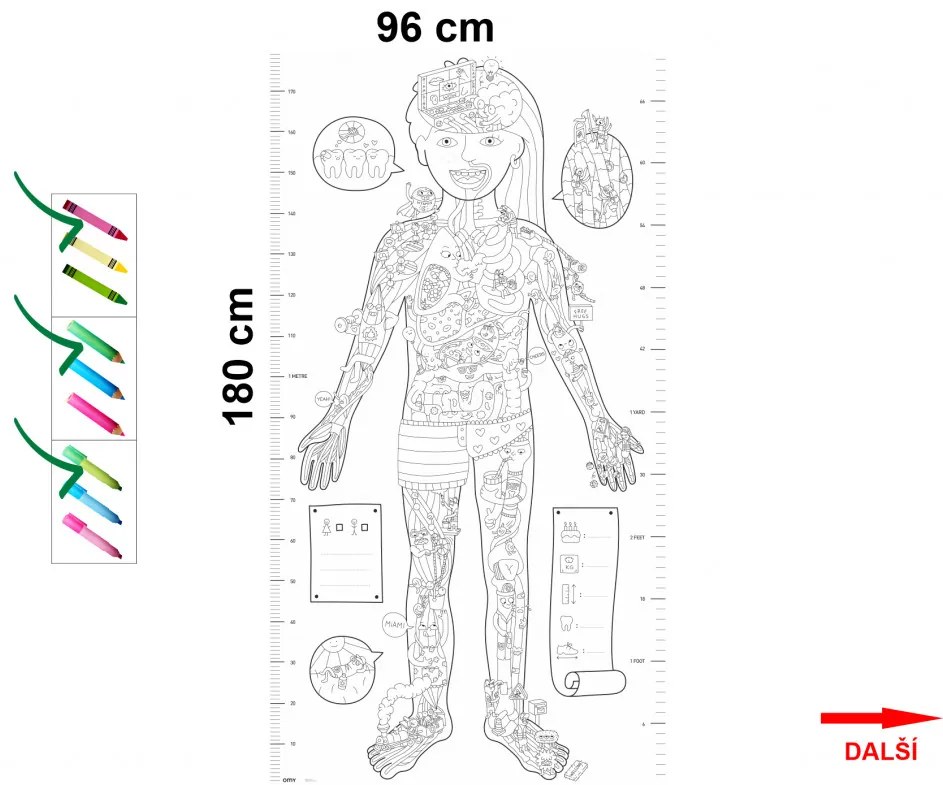 OMY DESIGN-PLAY, Dětské obrazy a plakáty na vymalování, Lidské tělo, 96x180cm