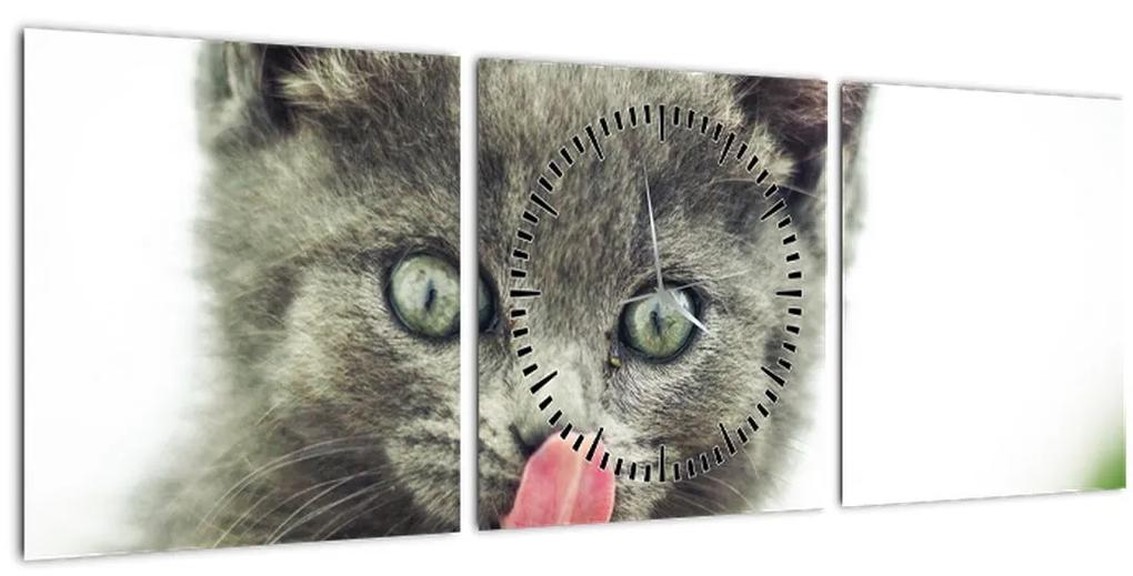 Obraz oblizujícího se kotěte (s hodinami) (90x30 cm)