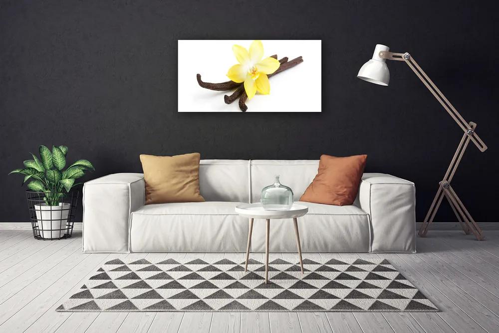 Obraz na plátně Vanilka Rostlina Příroda 125x50 cm