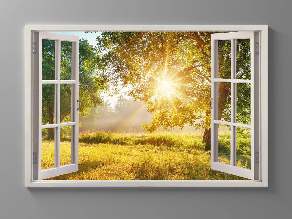Liox Obraz strom v ranním slunci Rozměr: 100 x 65 cm