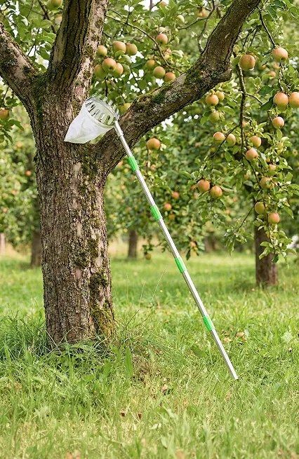 IQ Garden Česáček na ovoce s teleskopickou rukojetí - 4 m 319537