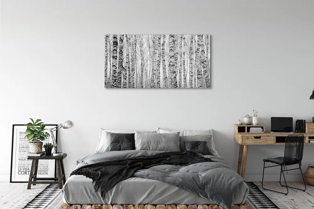 akrylový obraz Černá a bílá bříza 125x50 cm