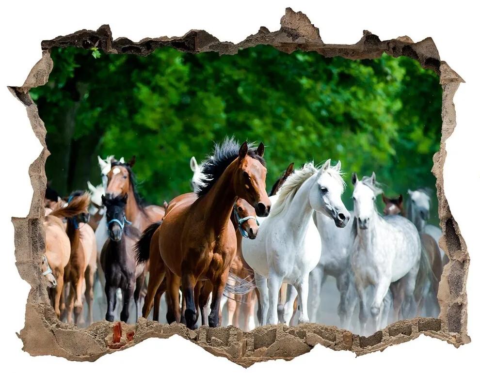 Wallmuralia Díra 3D fototapeta nálepka Koně ve cvalu 95x64 cm