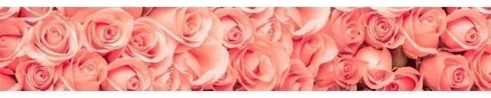 DIMEX | Fototapeta do kuchyně Růže KI-350-052 | 350 x 60 cm | růžová