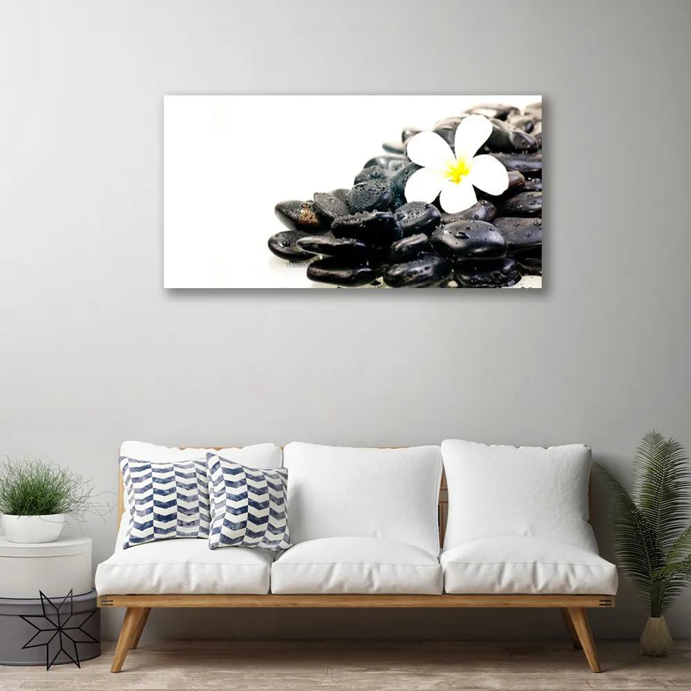 Obraz na plátně Květiny Kameny Umění 140x70 cm