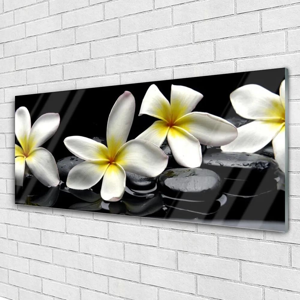 Plexisklo-obraz Kameny Květiny Lázně 125x50 cm