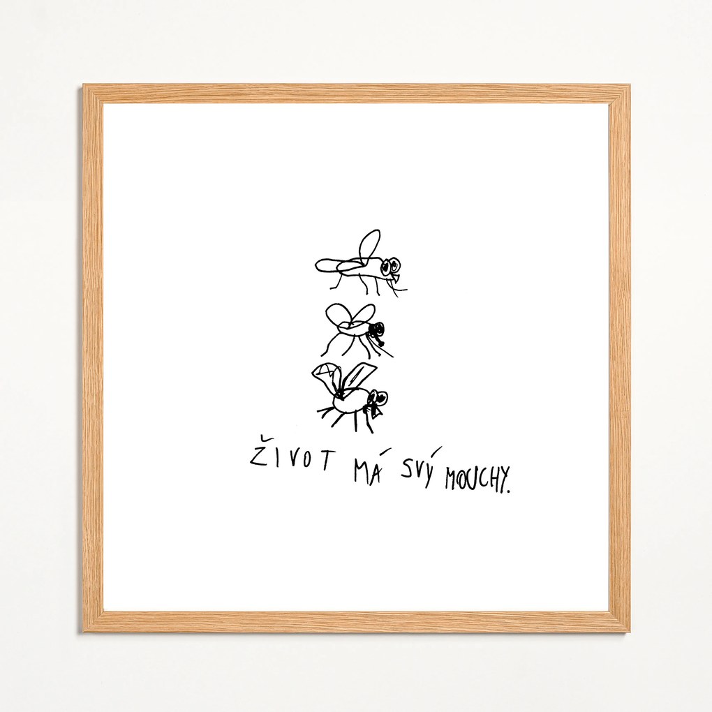 Honza Doležal / Zápisky umělce | Život má svý mouchy Rám: Černý, Velikost: 40 x 40 cm