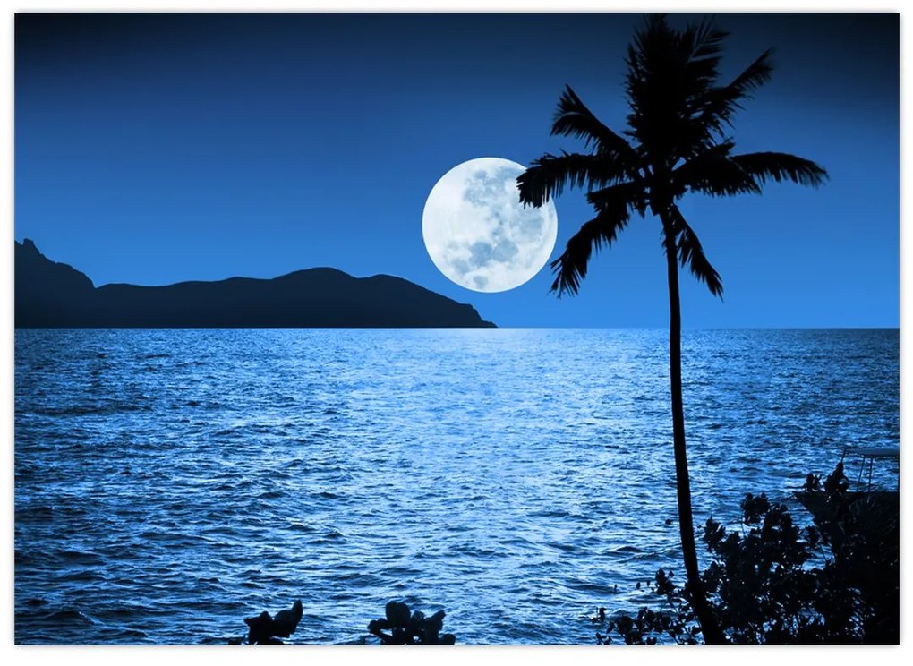 Skleněný obraz - Měsíc nad mořskou hladinou (70x50 cm)