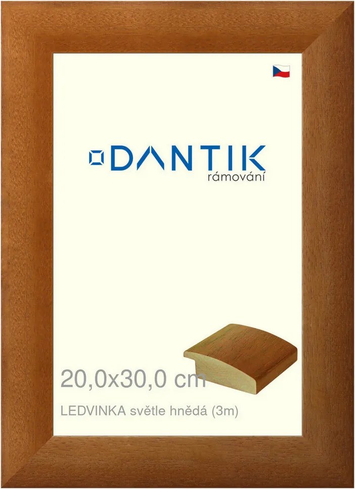 DANTIK rámeček 20x30 | LEDVINKA světle hnědá (Sklo Čiré)