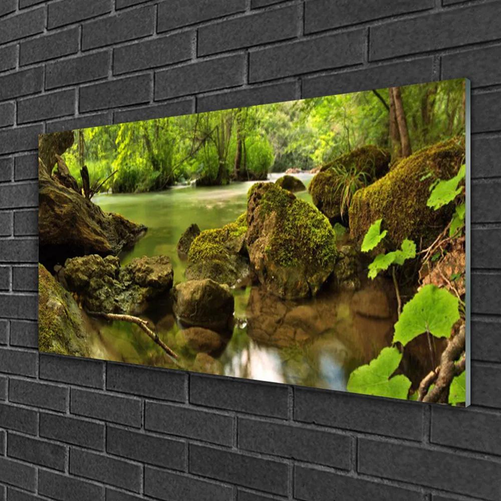 Obraz na skle Skála Jezero Příroda 125x50 cm
