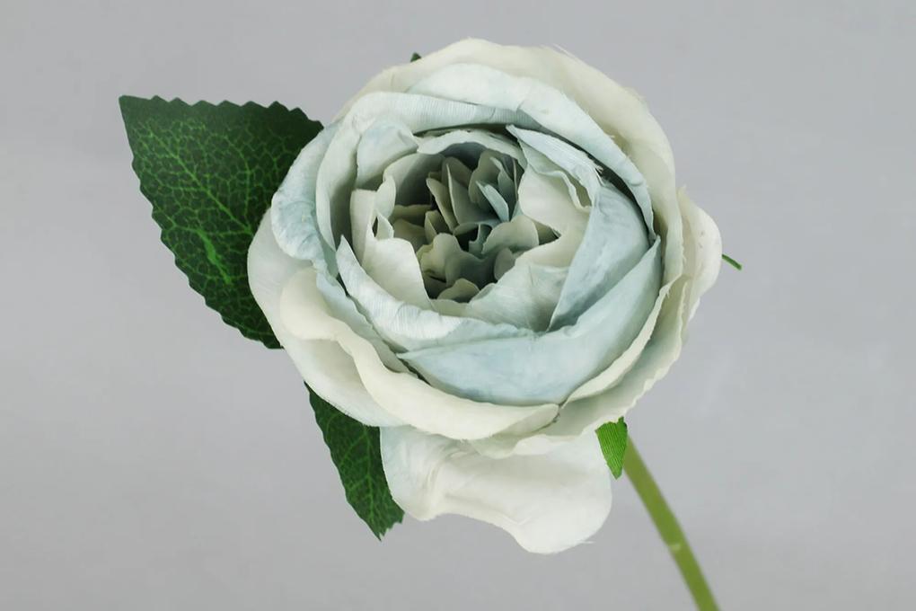 Růže, barva zelenošedá VK-1277