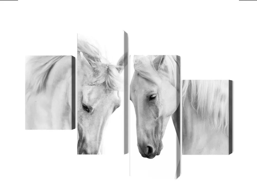 Vícedílný obraz Dva Koně Na Bílém Pozadí Nedostatek Nedostatek Přírodní plátno 160x100