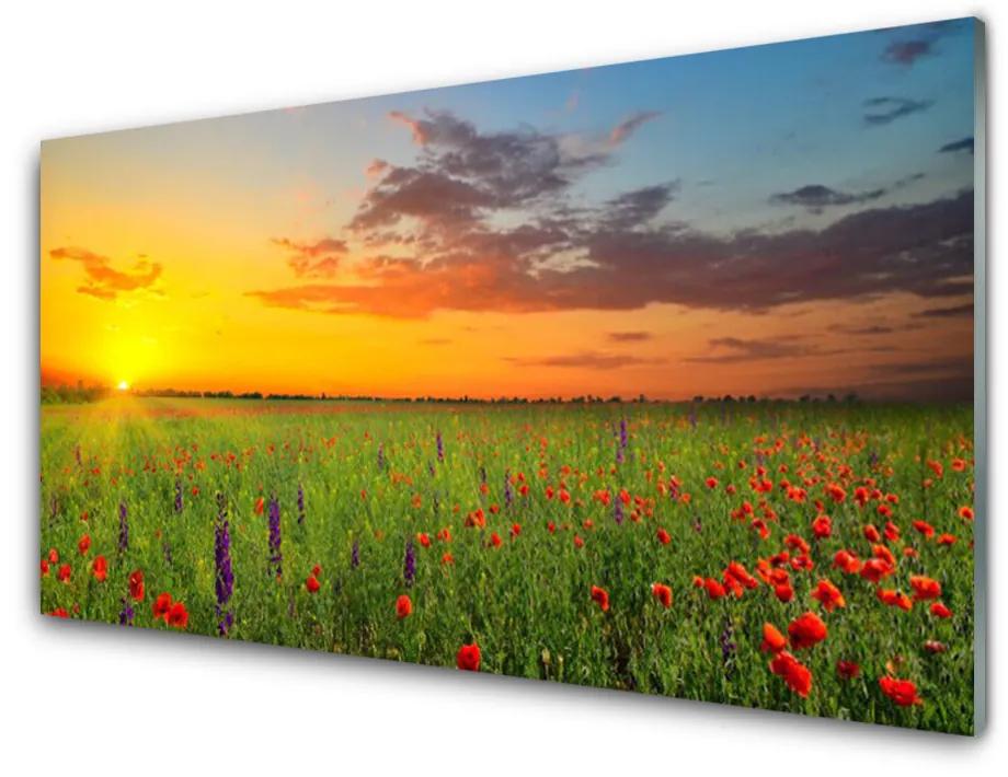 akrylový obraz Slunce Louka Květiny Příroda 120x60 cm