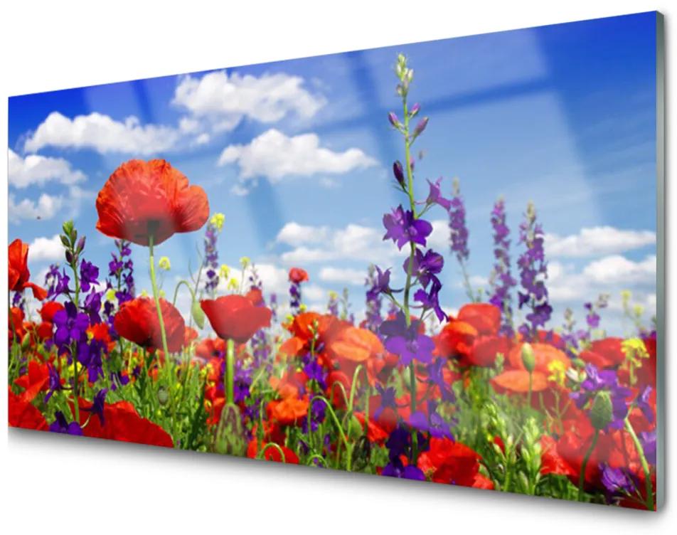 Obraz na skle Skleněný Tulipány Rostlina