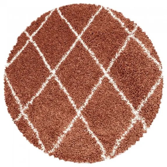 Vopi | Kusový koberec Alvor shaggy 3401 terra - Kruh průměr 120 cm