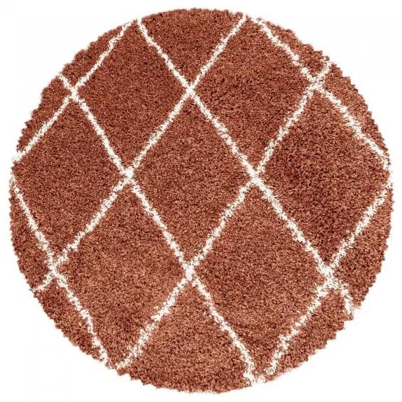 Vopi | Kusový koberec Alvor shaggy 3401 terra - Kruh průměr 200 cm