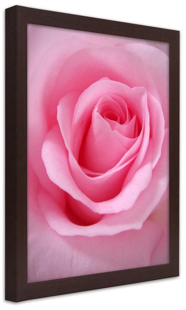 Gario Plakát Romantická růže Barva rámu: Hnědá, Rozměry: 40 x 60 cm