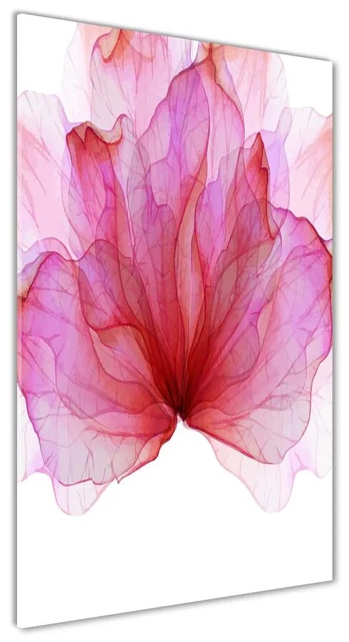 Wallmuralia Moderní akrylový fotoobraz Růžový květ 70x140 cm