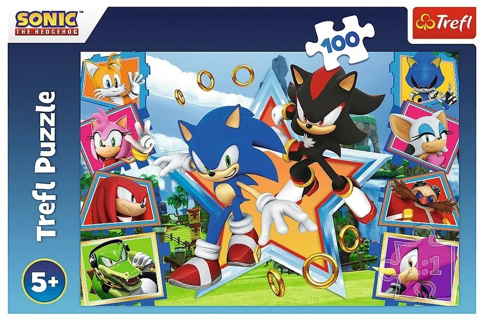 Trefl Puzzle Sonic Seznamte se s ježkem, 100 dílků