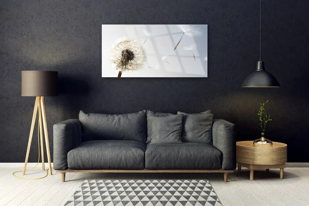 Plexisklo-obraz Pampeliška Květiny Příroda 100x50 cm