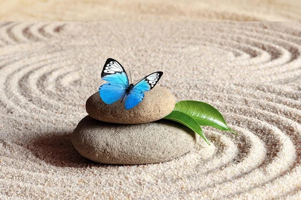 Samolepící fototapeta modrý motýl na Zen kameni - 150x270